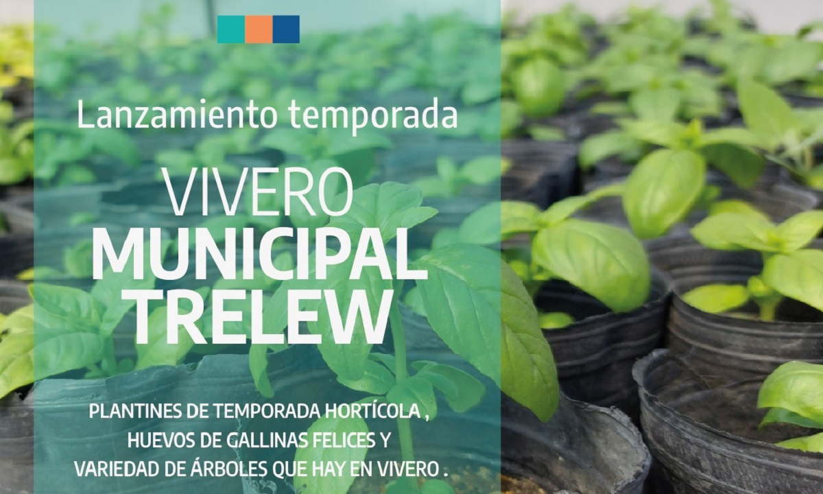 El Vivero Municipal lanza nueva temporada con actividades en la Plaza ...